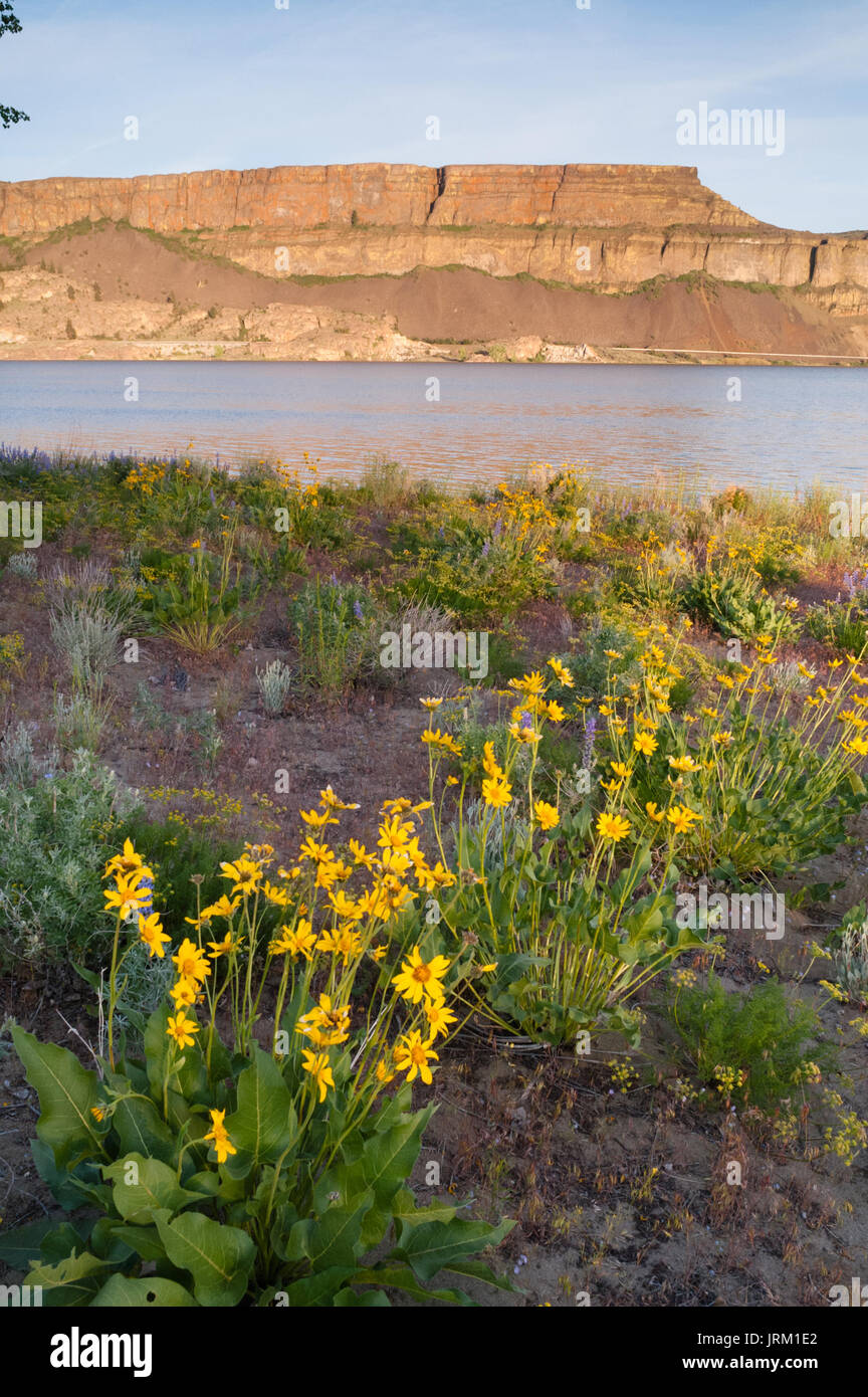 Taken from the campground at Banks Lake Washington Stock Photo - Alamy