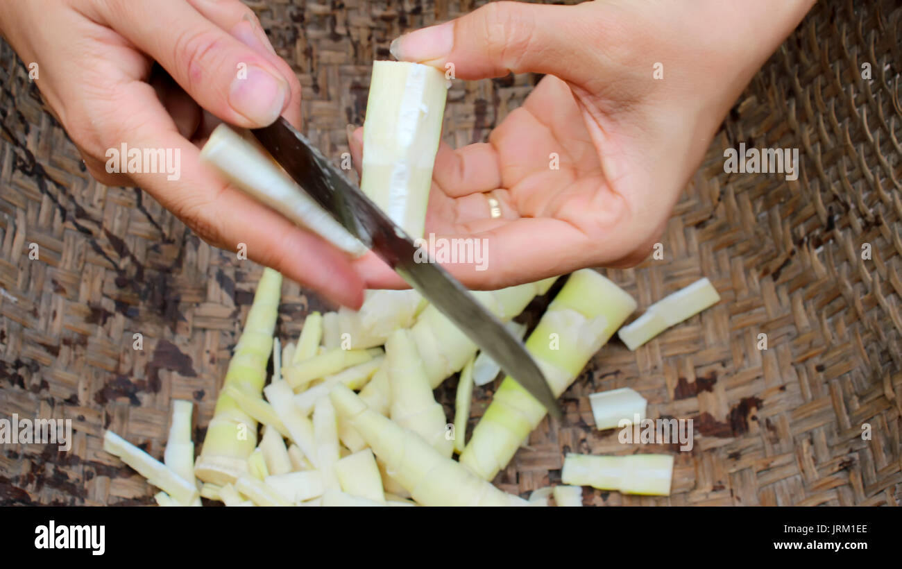 Cutting bamboo forest hi-res stock photography and images - Alamy