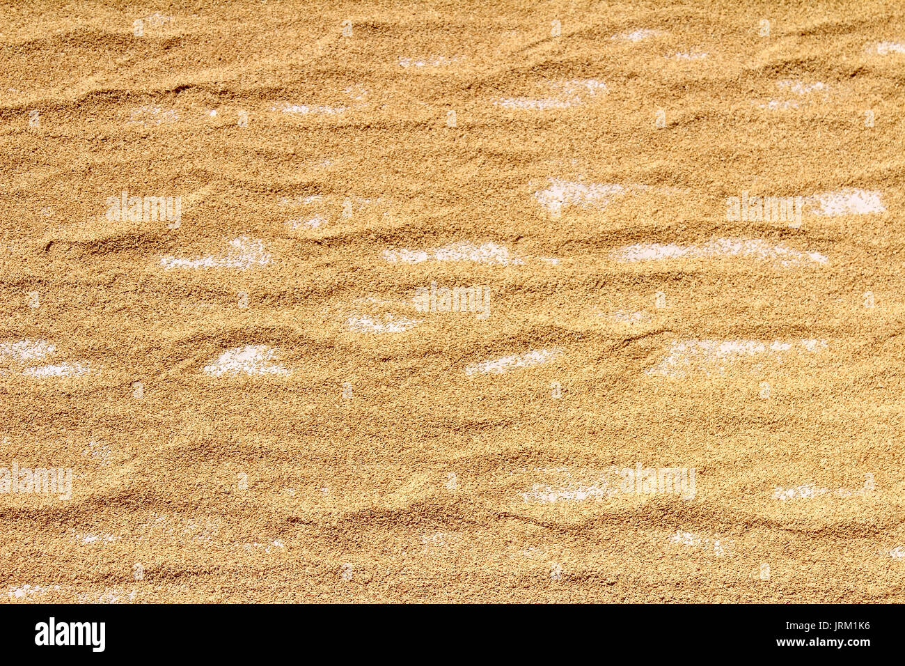 dry rice after harvesting Stock Photo - Alamy