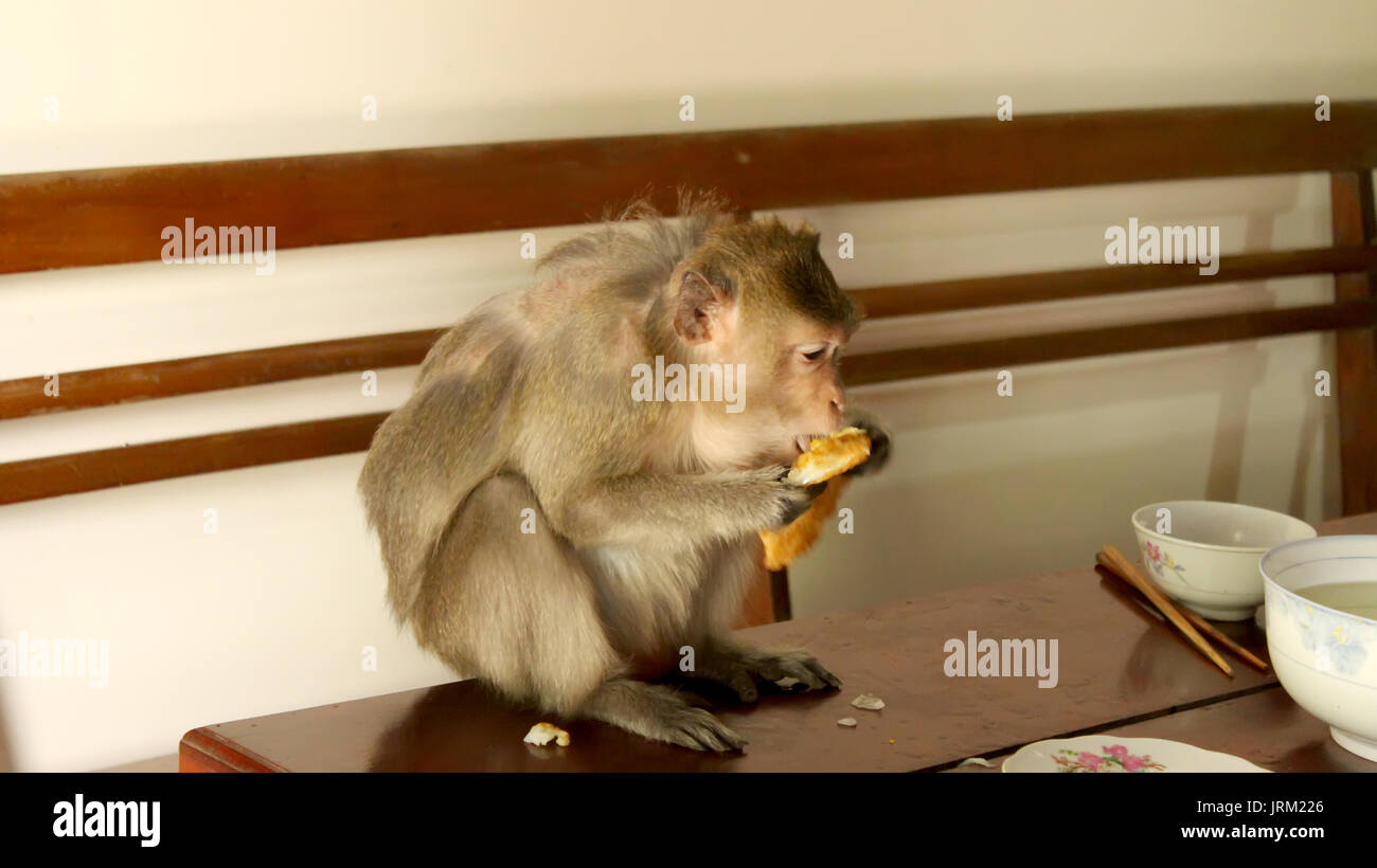 Eat eggs hi-res stock photography and images - Alamy