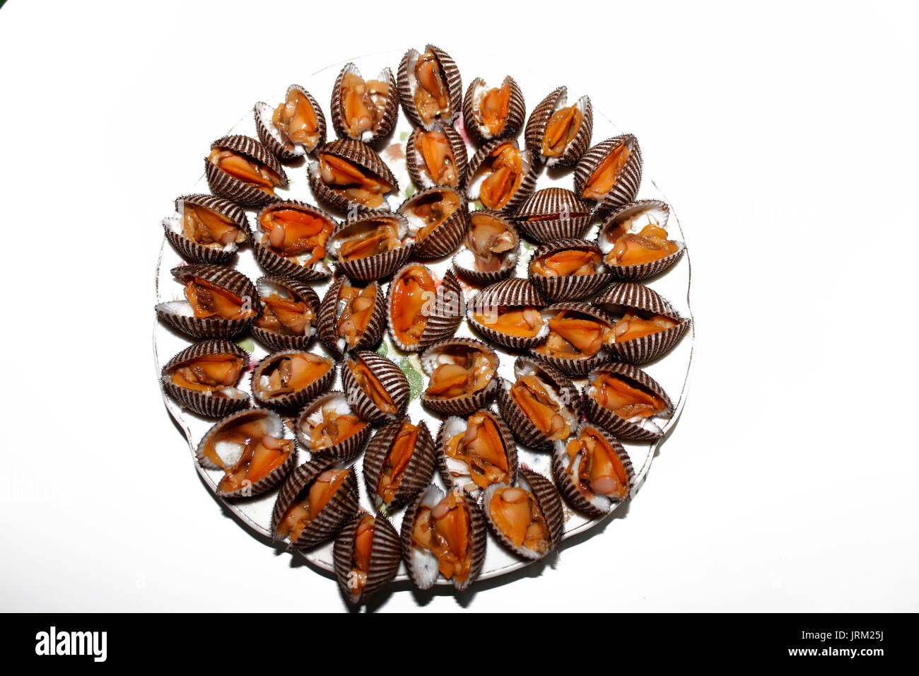 steamed sea shell isolated on white background Stock Photo - Alamy