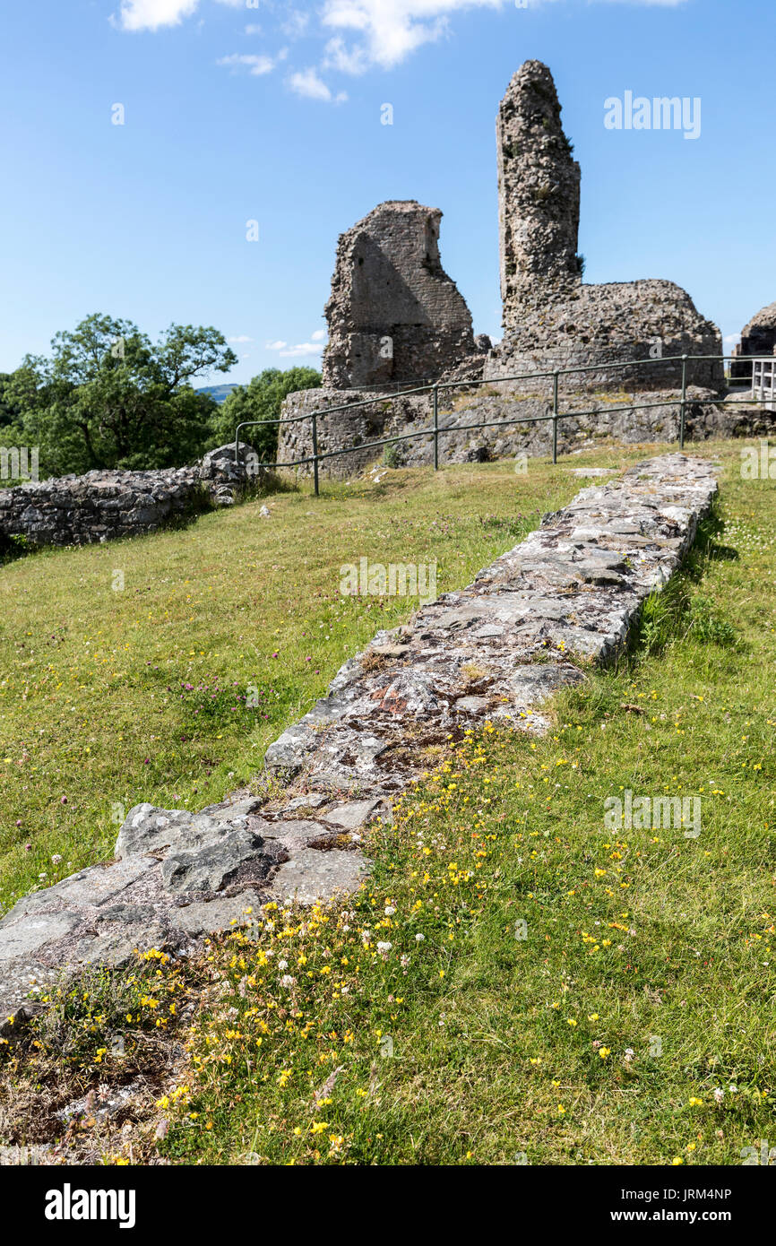 Castle ruins, Montgomery, Powys, Wales, UK Stock Photo - Alamy