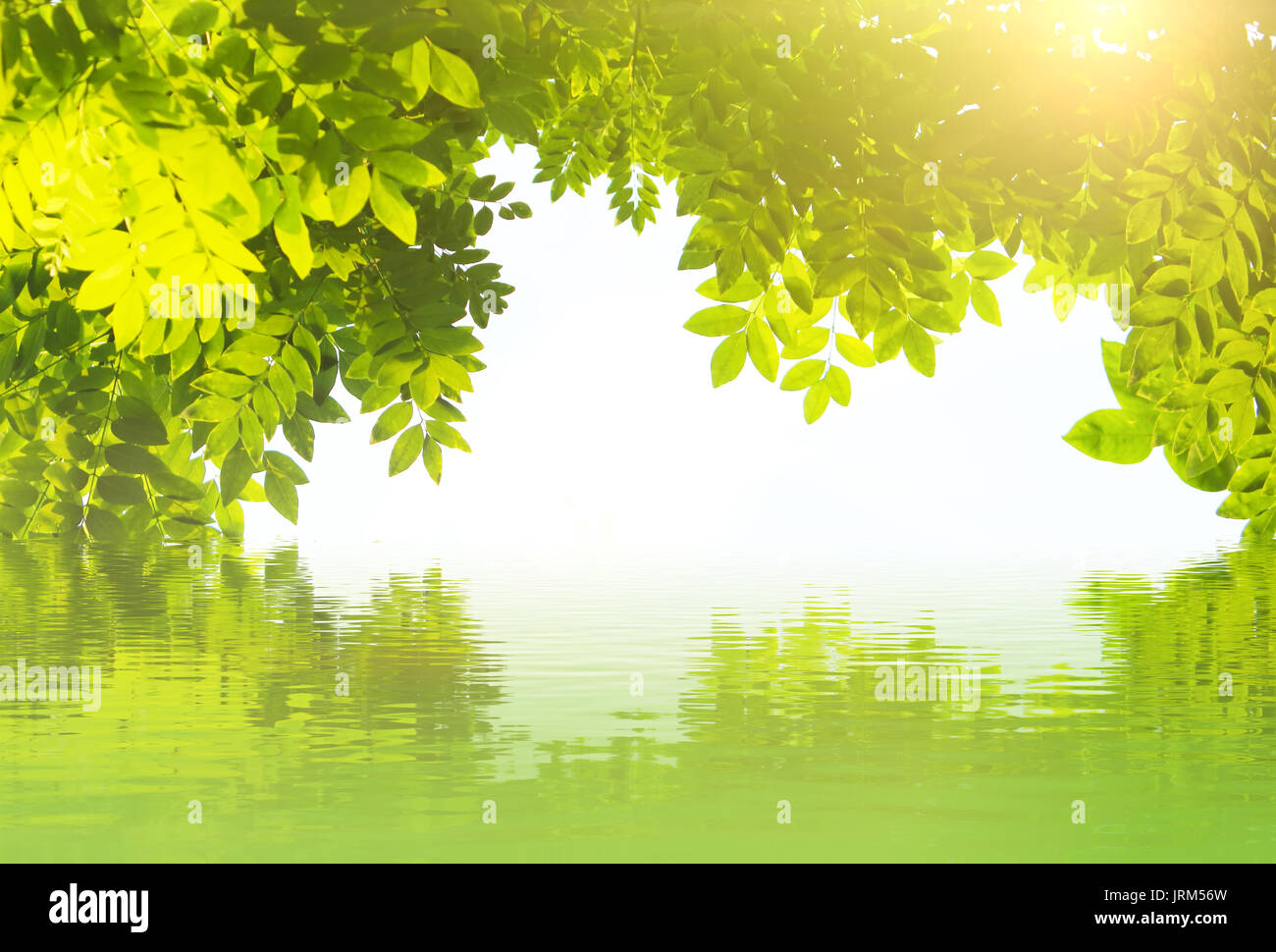 Abstract natural backgrounds for your design Stock Photo - Alamy