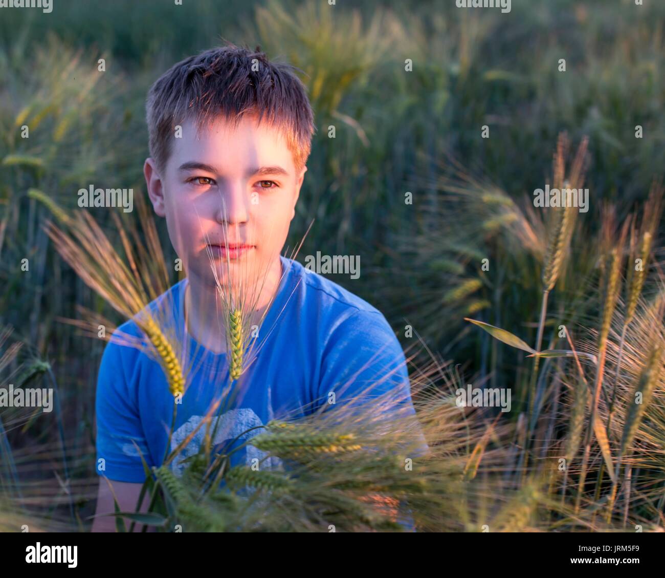 A boy in cereal fields, corn, portrait by sunset in the polish ...