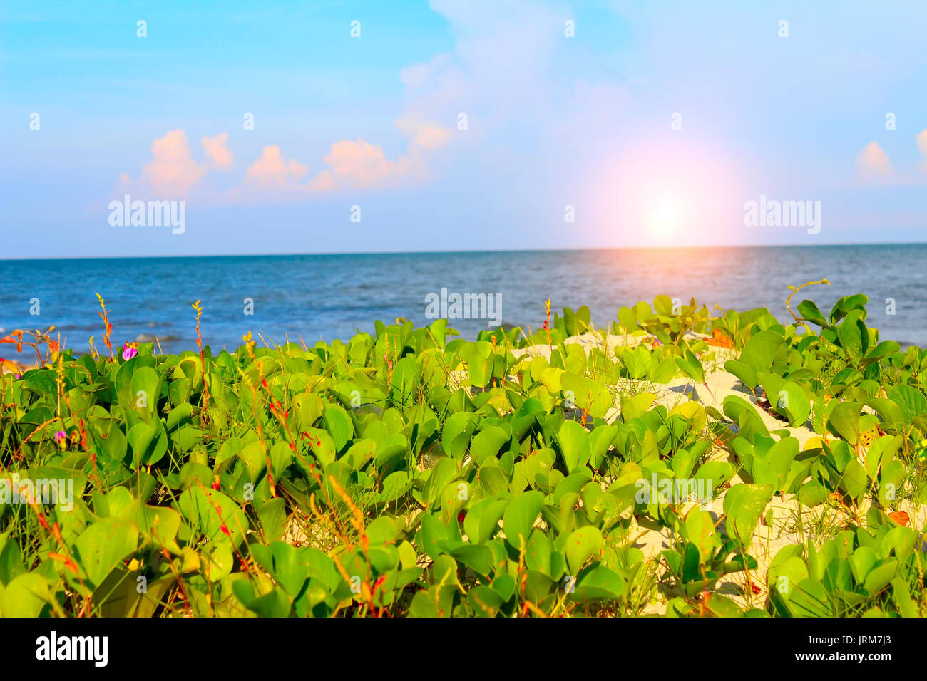 beach of china Stock Photo - Alamy