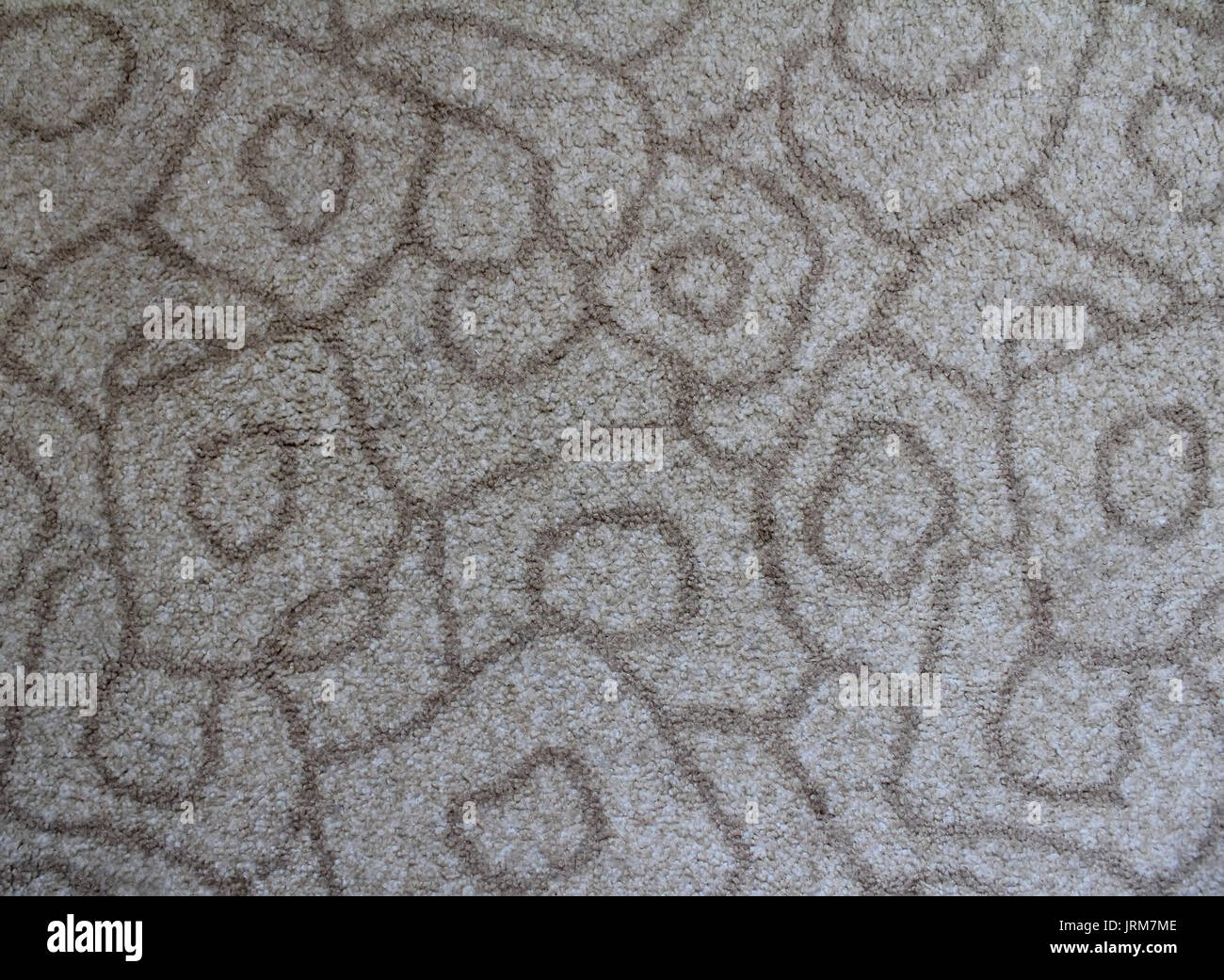 Light Beige Carpet Texture Close High Resolution Stock Photography and ...