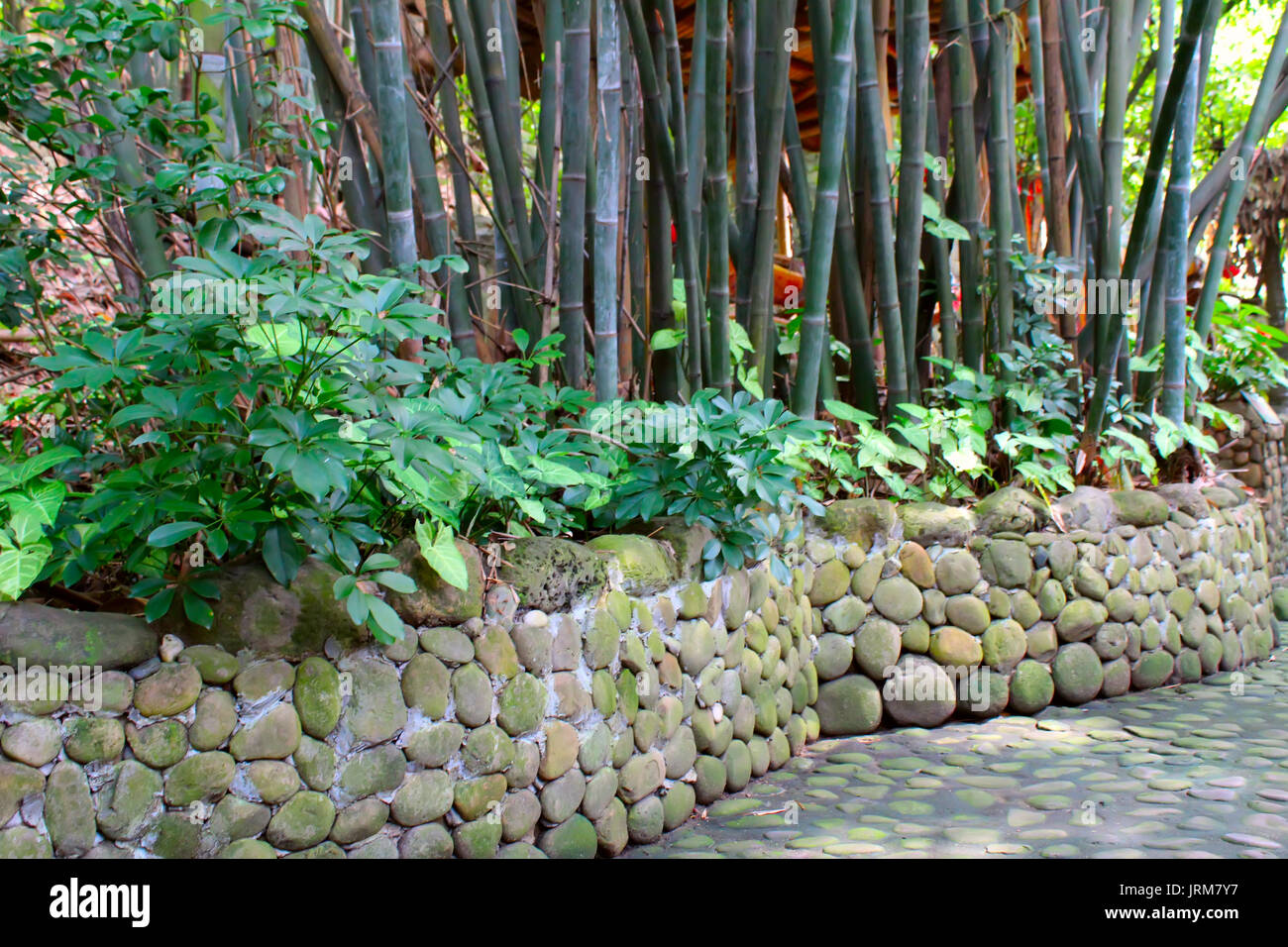 bamboo, rock background Stock Photo - Alamy