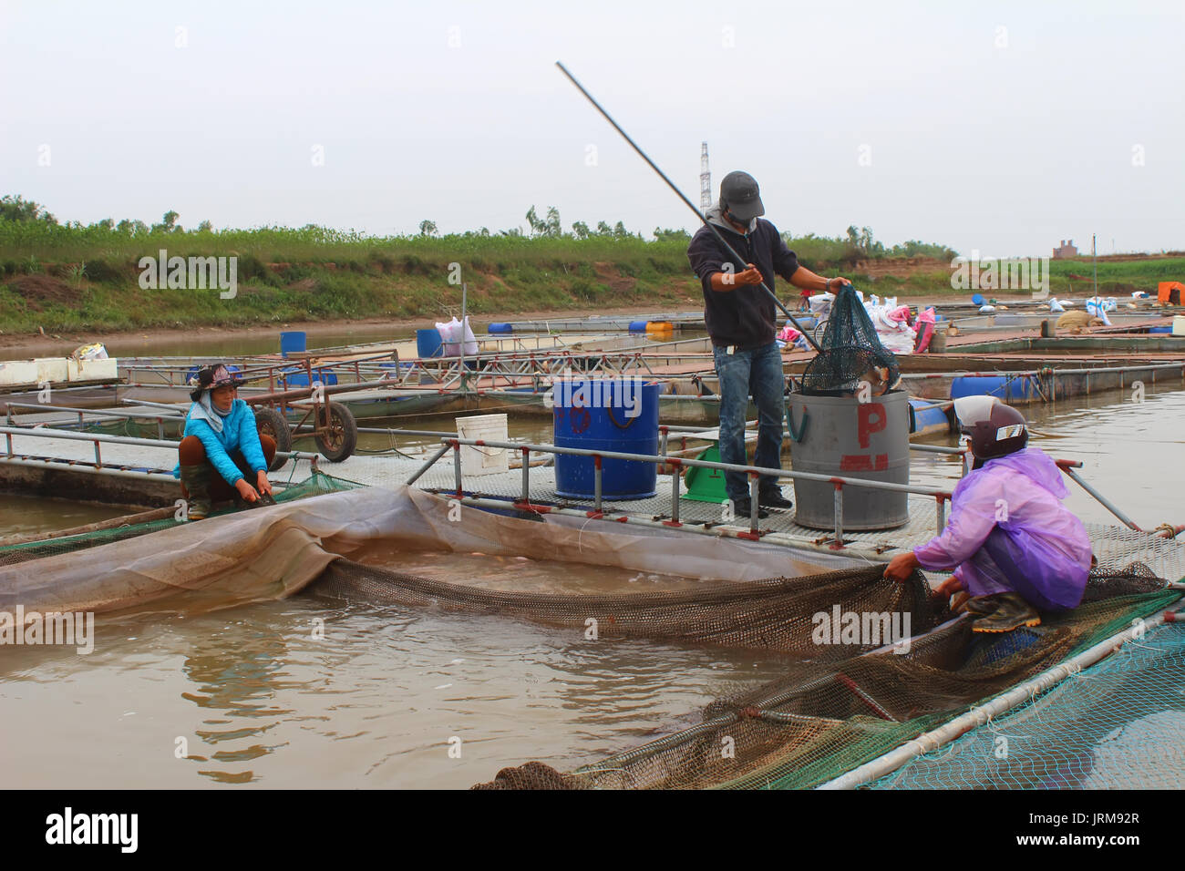 Forest River Vietnam Fish Farm High Resolution Stock Photography and ...