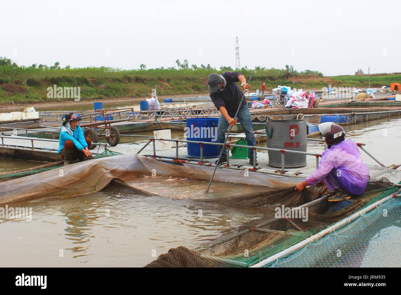 Forest River Vietnam Fish Farm High Resolution Stock Photography and ...