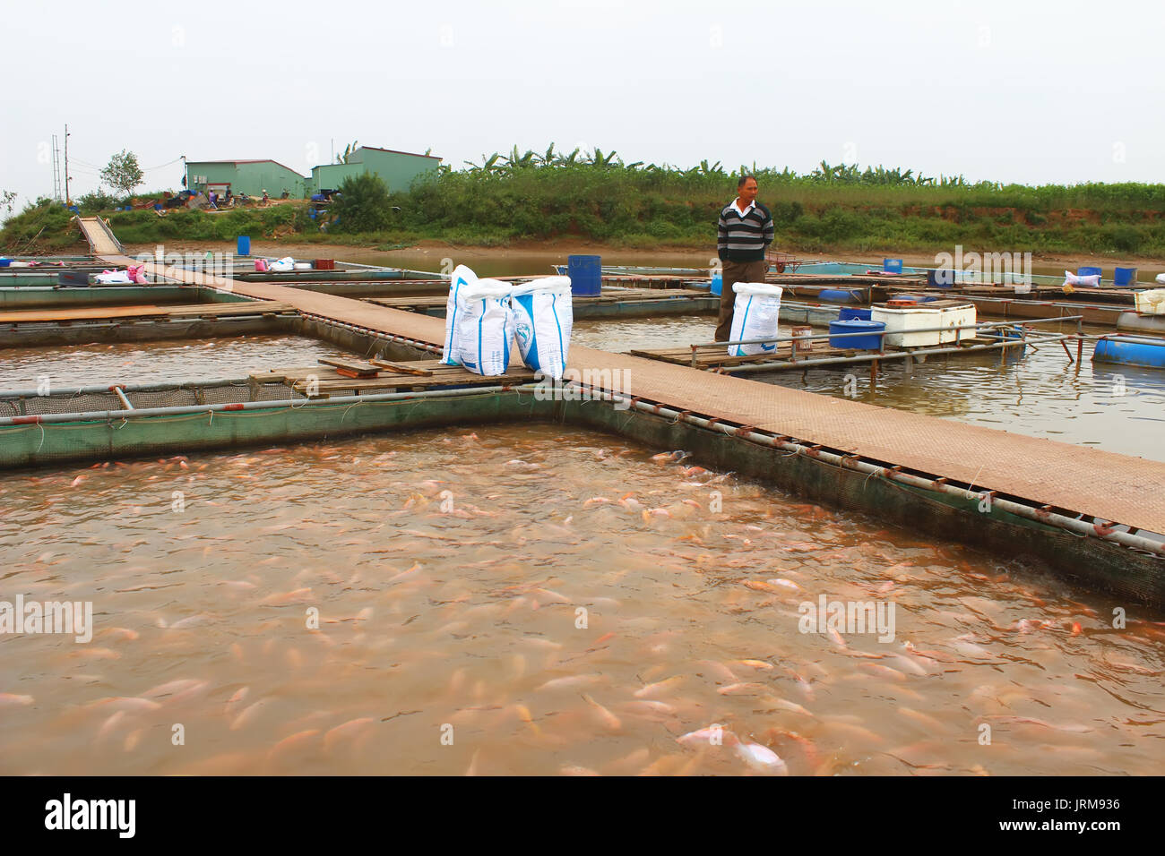 Forest River Vietnam Fish Farm High Resolution Stock Photography and ...