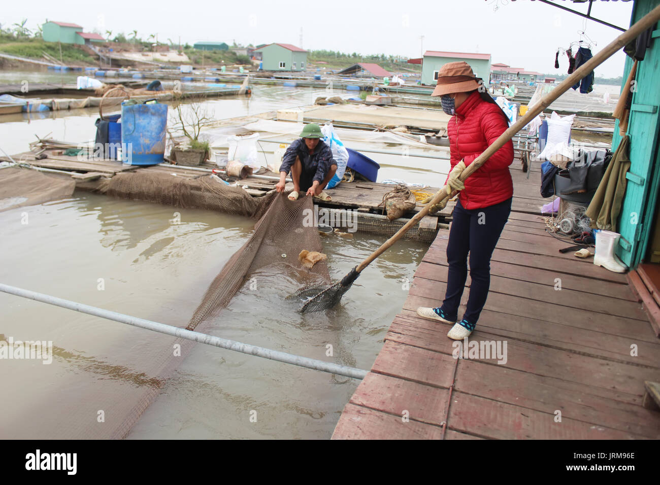 Forest River Vietnam Fish Farm High Resolution Stock Photography and ...