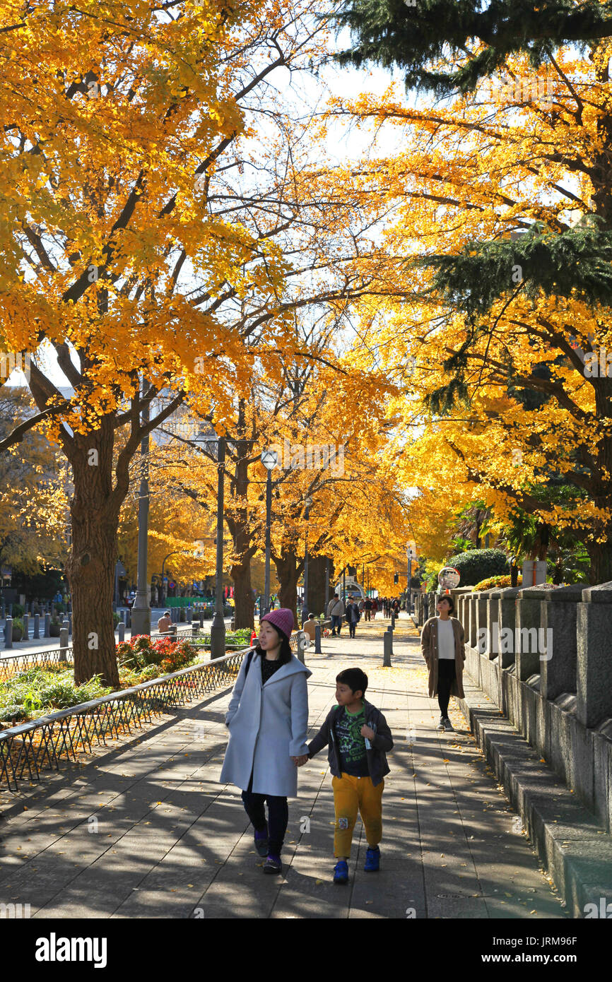 Autumn Photography People