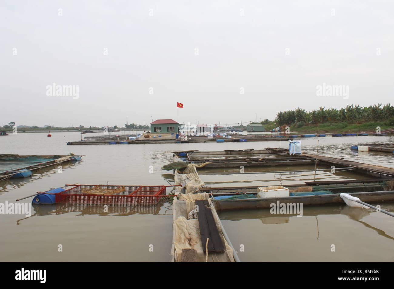 Definition of fish hi-res stock photography and images - Alamy