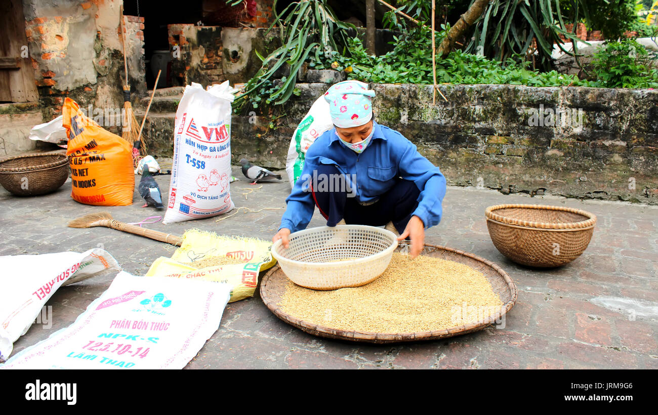 Map of rice farming hi-res stock photography and images - Alamy