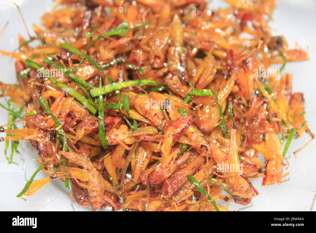 Fried chapulines hi-res stock photography and images - Alamy