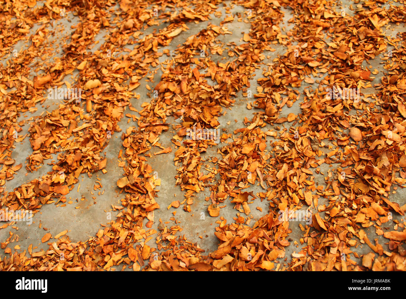 Herbal processing hi-res stock photography and images - Alamy
