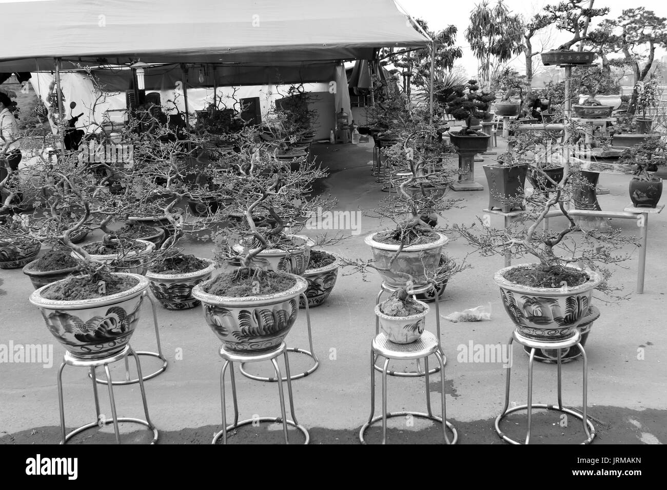 Asian food market in Black and White Stock Photos & Images - Alamy