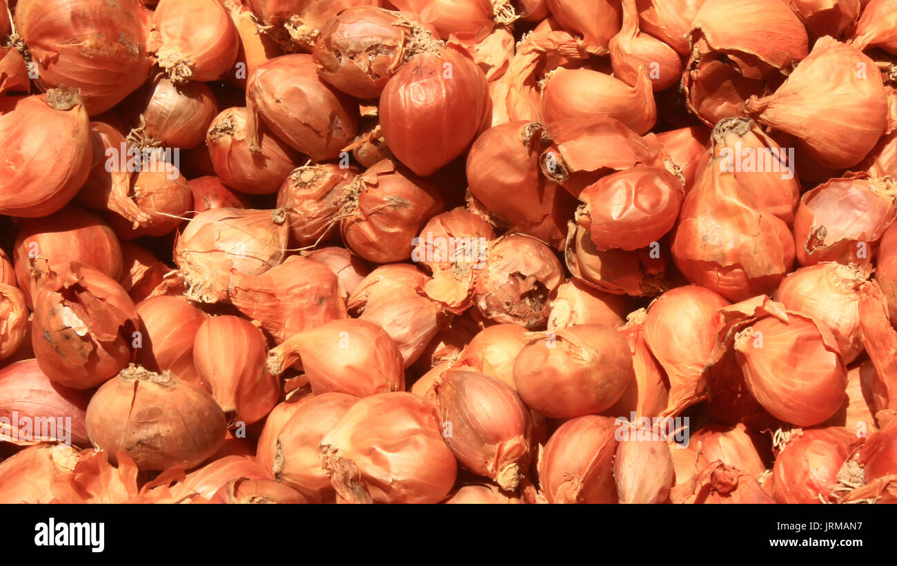 Dry onion hi-res stock photography and images - Alamy