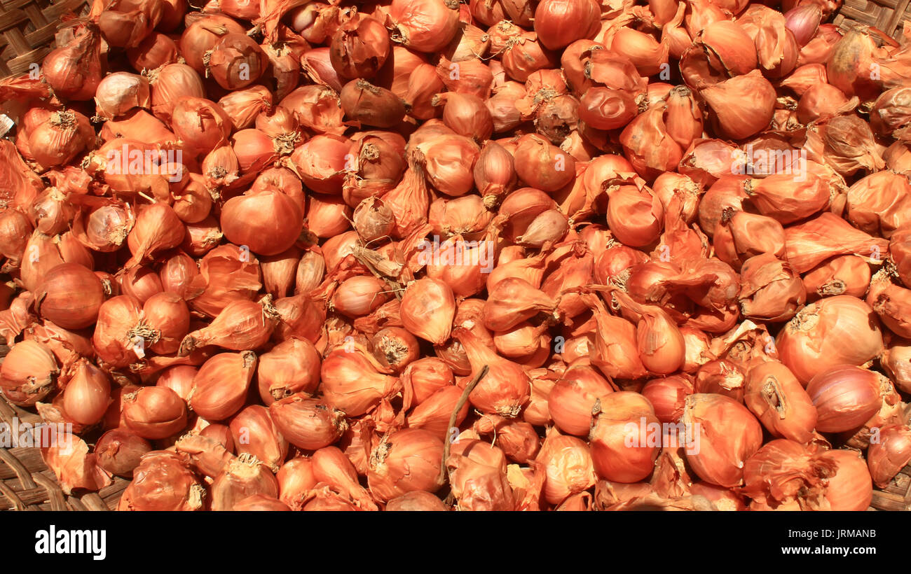 Dry onion hi-res stock photography and images - Alamy