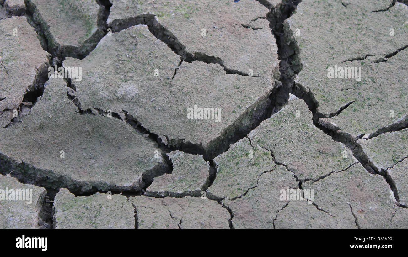 Drought disaster hi-res stock photography and images - Alamy