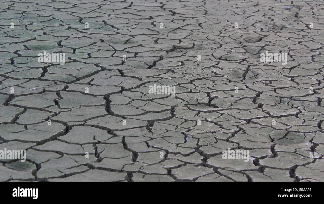 Drought disaster hi-res stock photography and images - Alamy