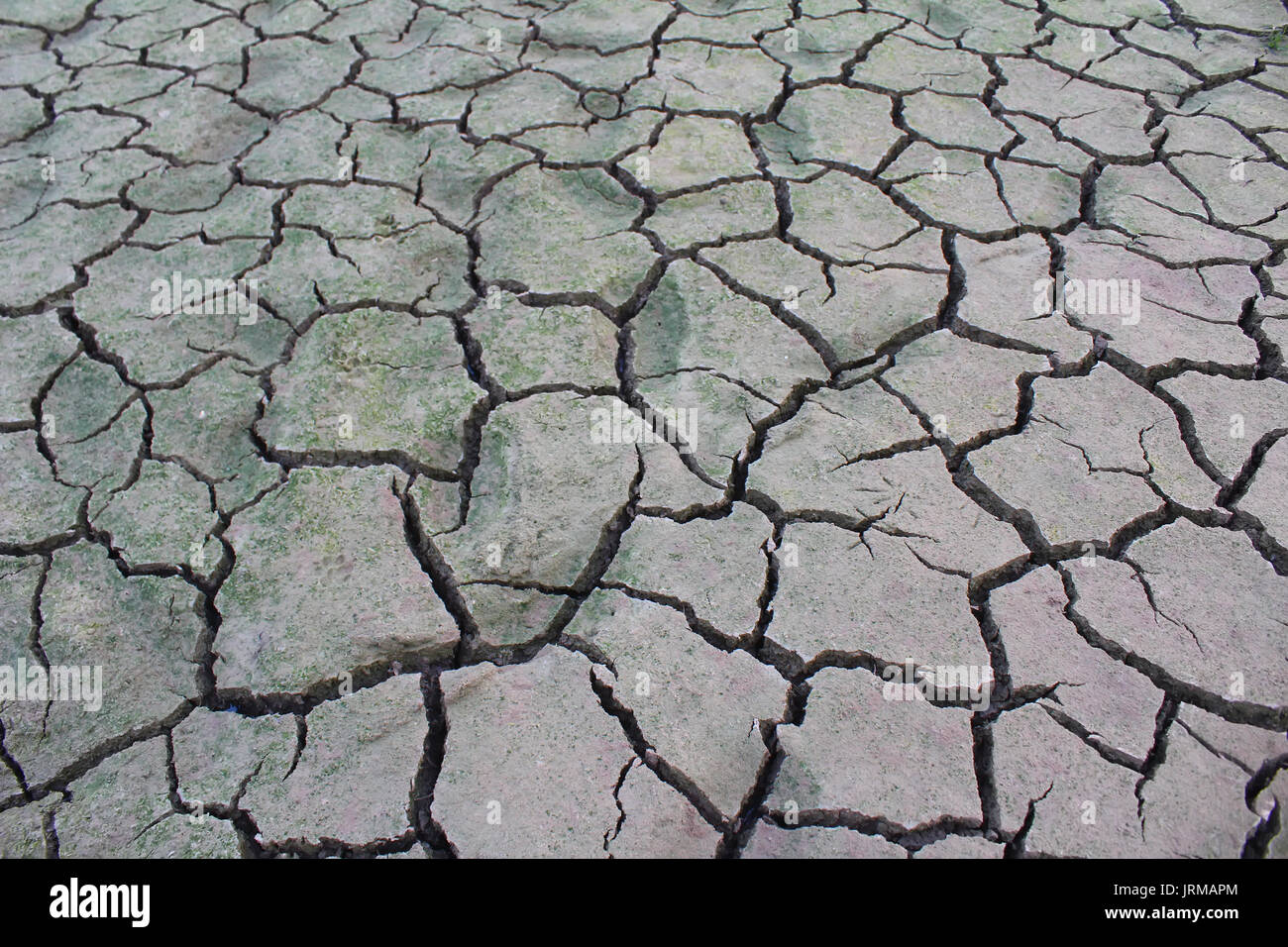 Drought disaster hi-res stock photography and images - Alamy