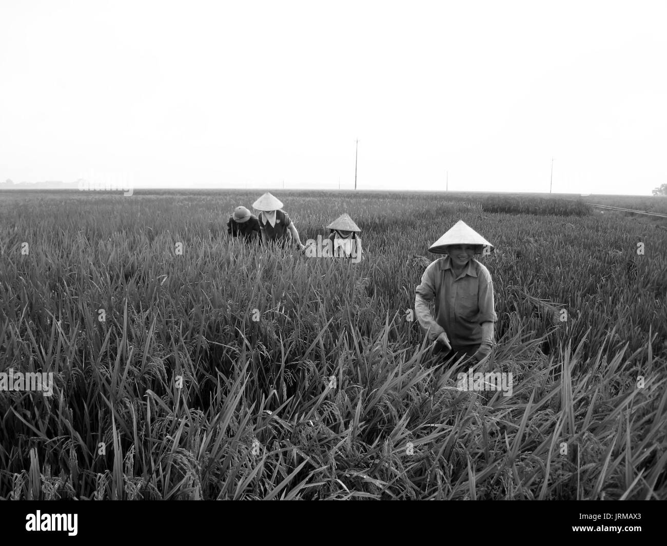 Vietnamese plantation Black and White Stock Photos & Images - Alamy