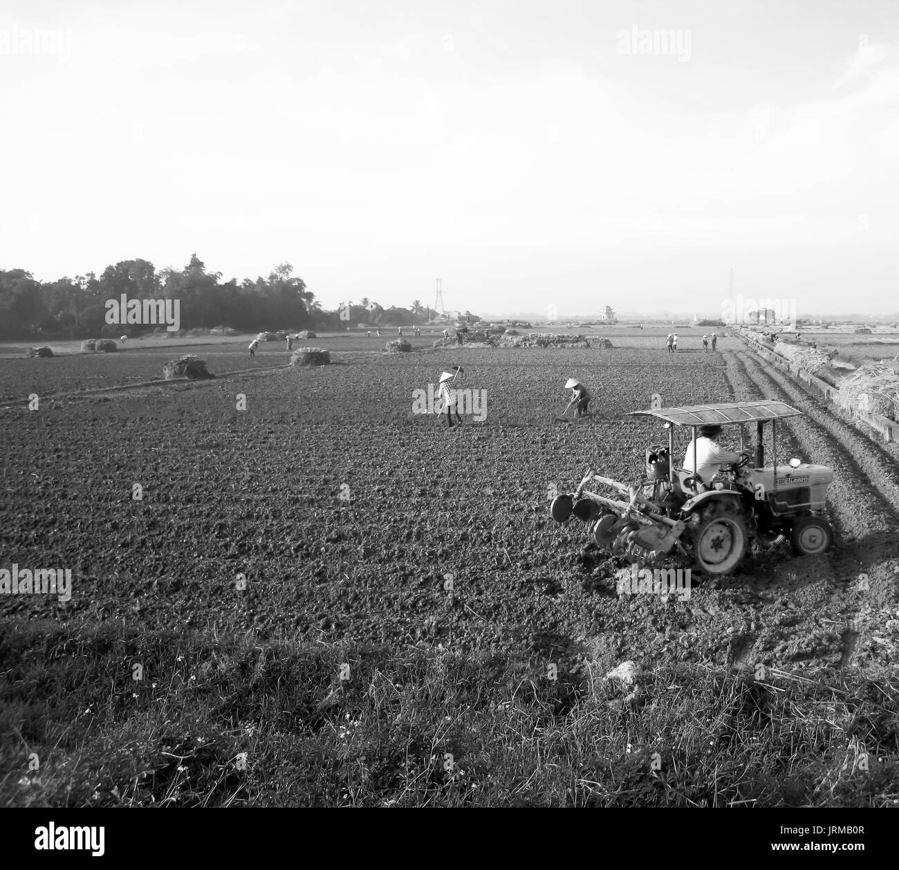 Landscape rice field on Black and White Stock Photos & Images - Alamy