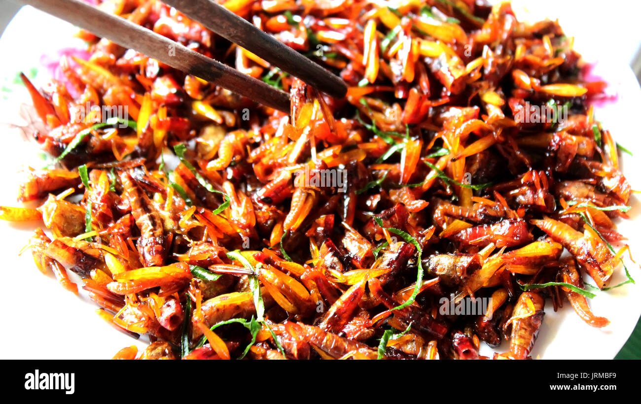 Cooked grasshoppers hi-res stock photography and images - Alamy