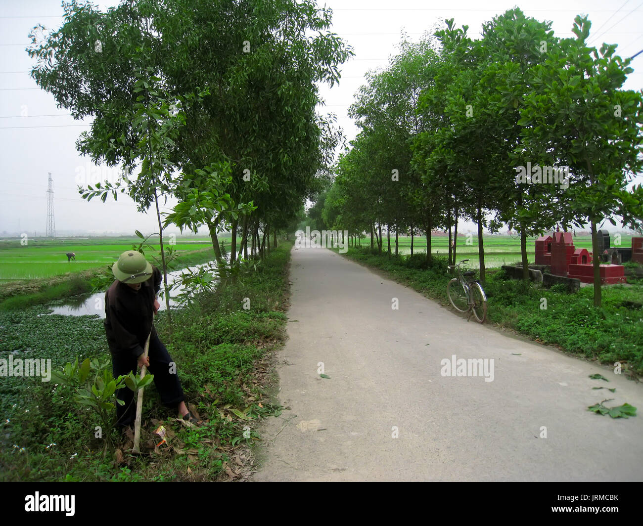 HAI DUONG, VIETNAM, September, 2: old man plant trees on September, 2 ...