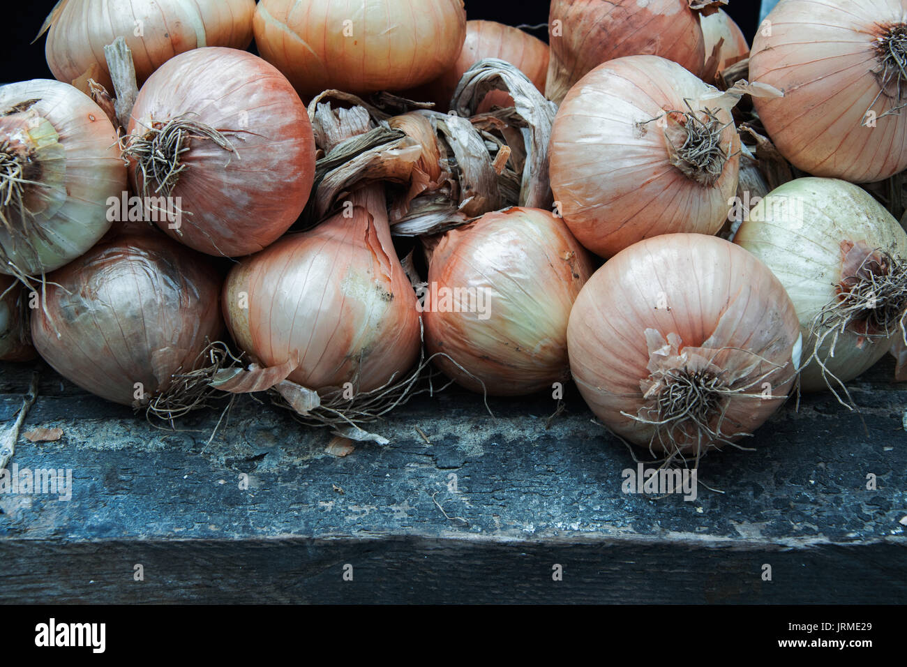 Onion Texture High Resolution Stock Photography and Images - Alamy