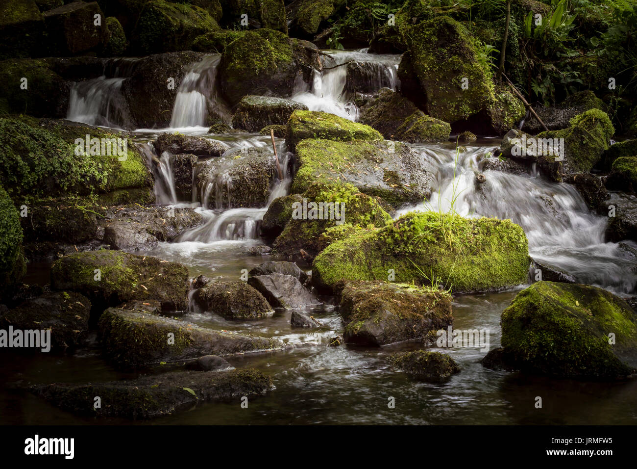 Waterfall in the Lumsdale Valley, Matlock, Derbyshire, Peak District ...