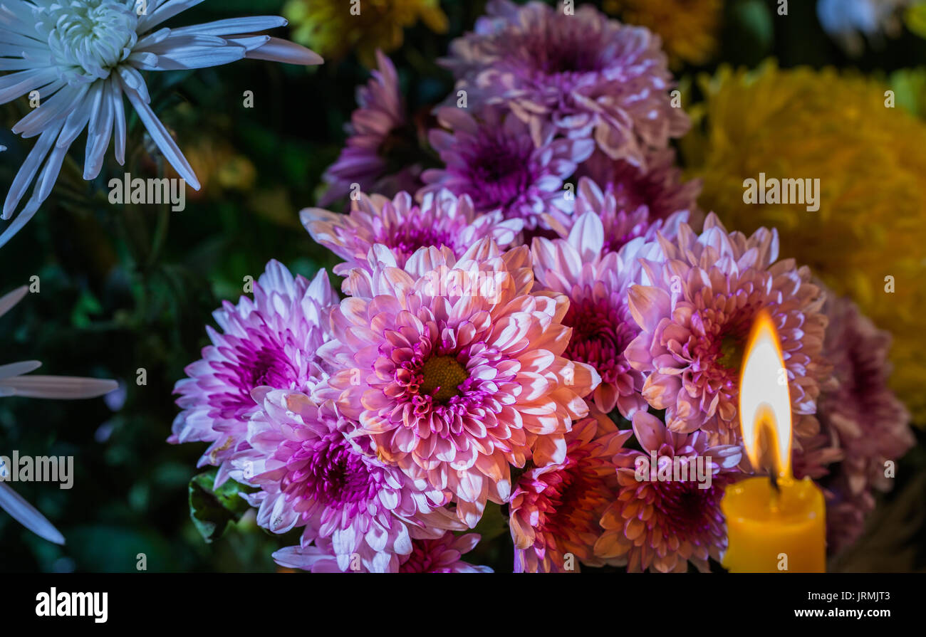 when people wish something special for them life. they always worship ...