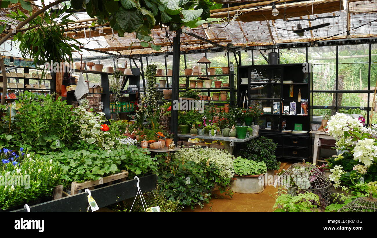 Glasshouse nursery hi-res stock photography and images - Alamy