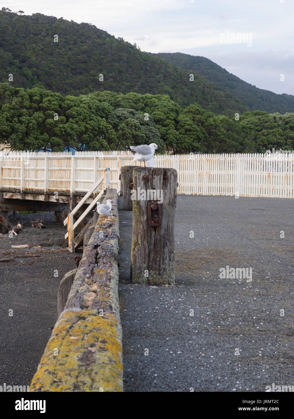 Jetty piles hi-res stock photography and images - Alamy