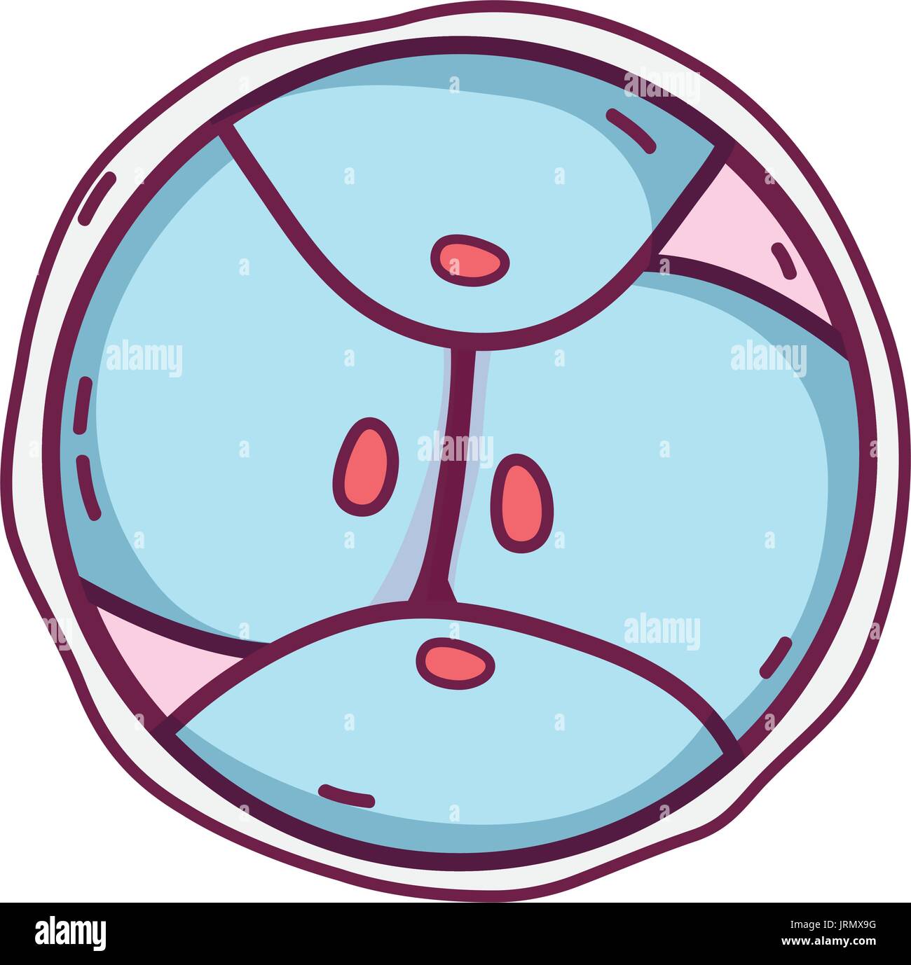 biology genetic embryo cells division Stock Vector Image & Art - Alamy
