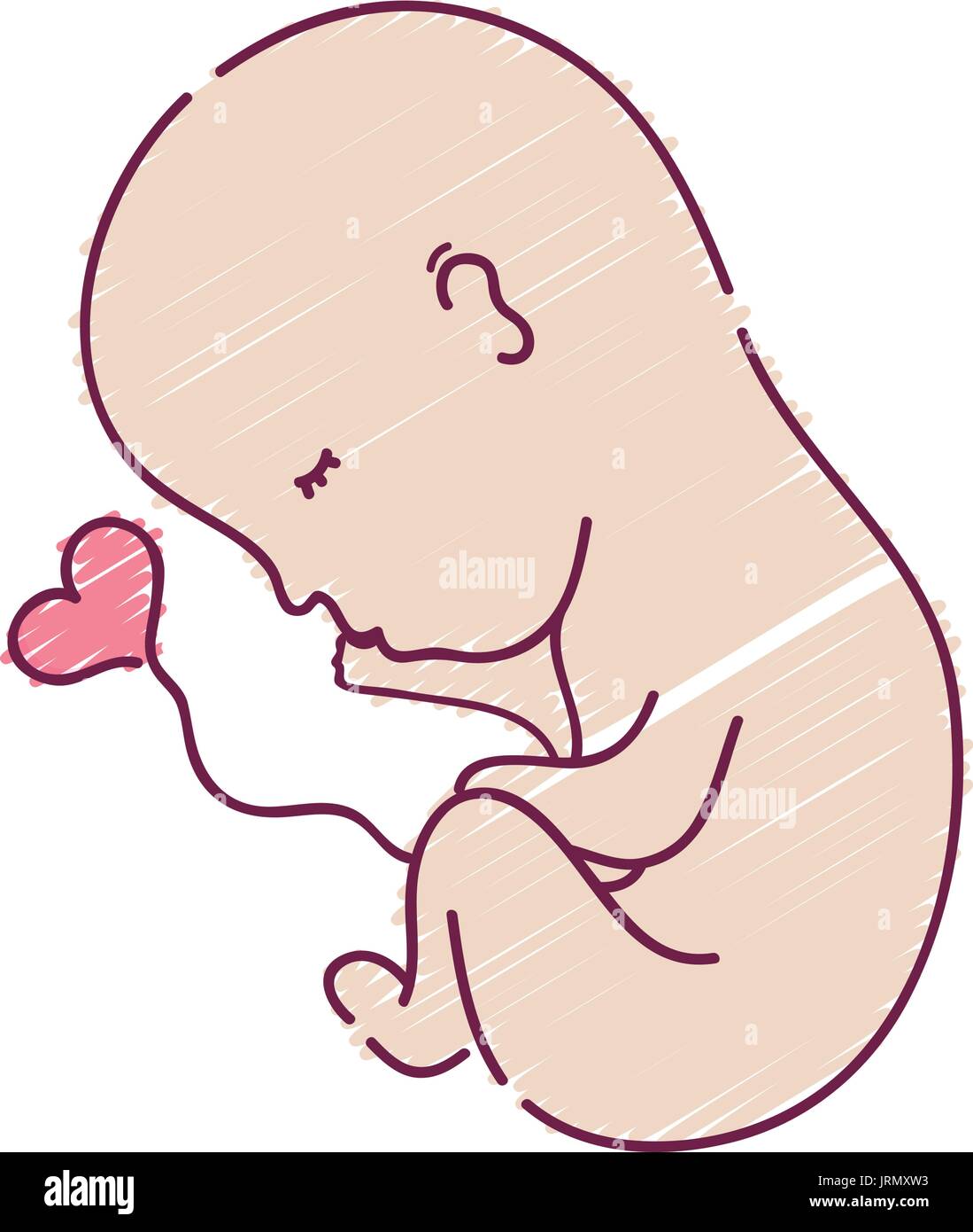 new life and baby with umbilical cord Stock Vector Image & Art - Alamy