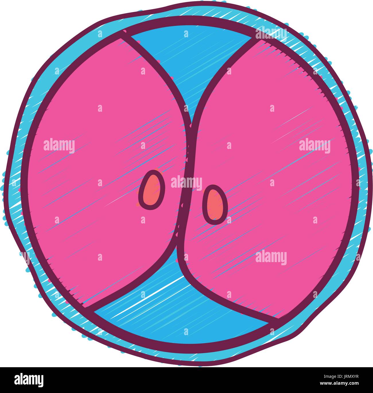 Meiosis and mitosis hi-res stock photography and images - Alamy