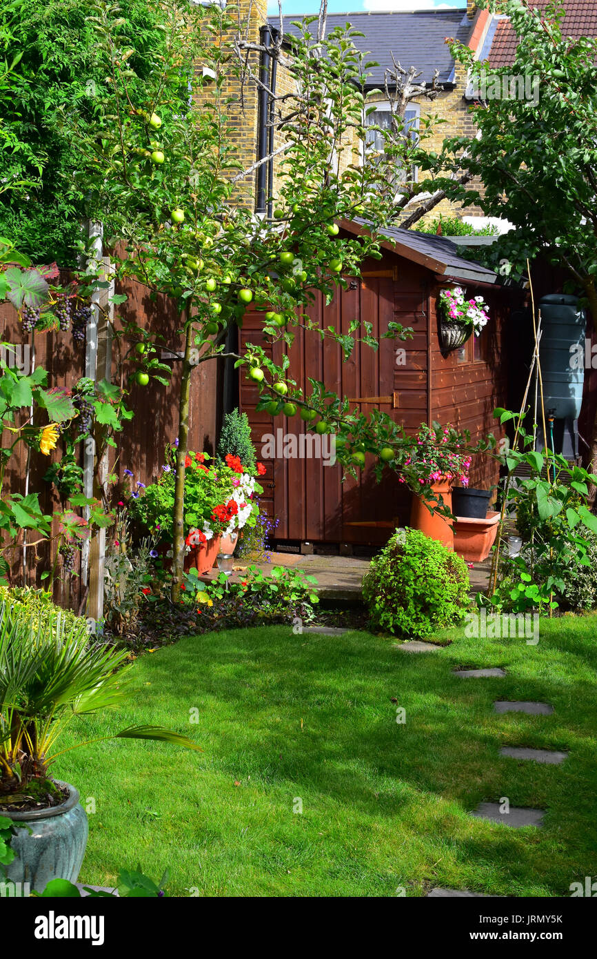 A wooden garden shed in a London back garden England UK Stock Photo - Alamy