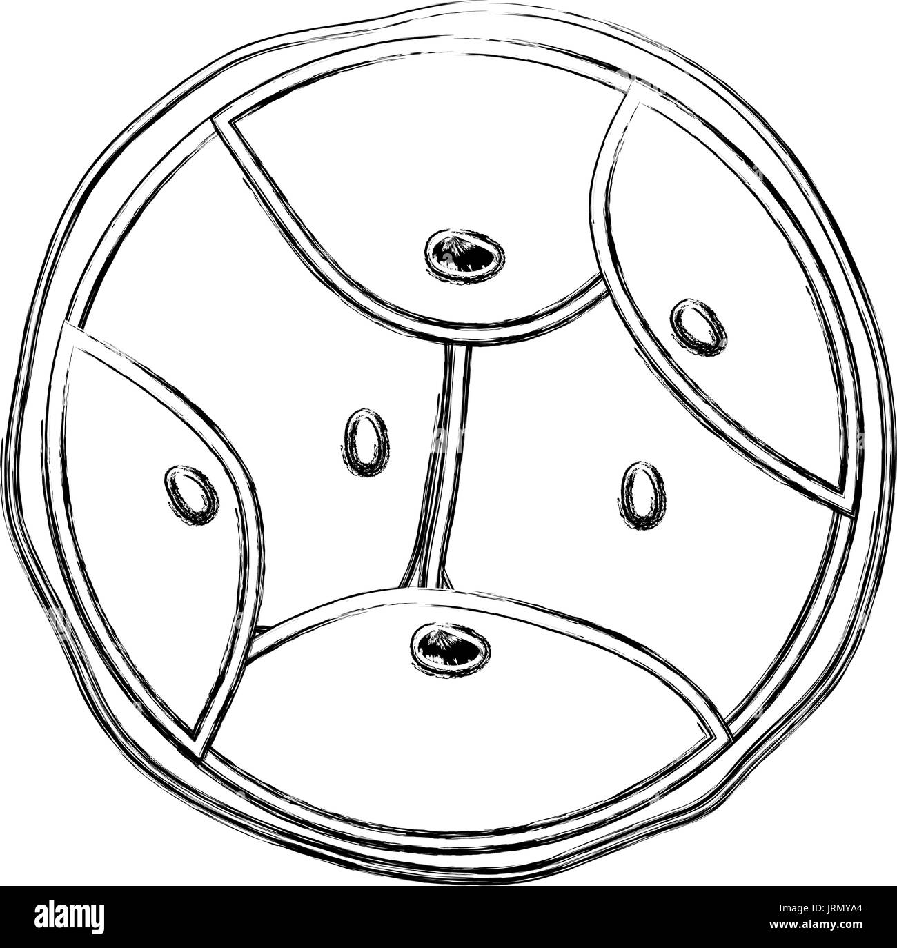 Mitosis cell division Black and White Stock Photos & Images - Alamy