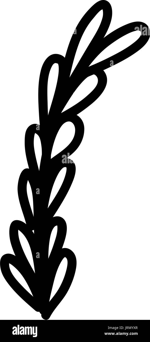 line branch with leaves decoration design Stock Vector Image & Art - Alamy