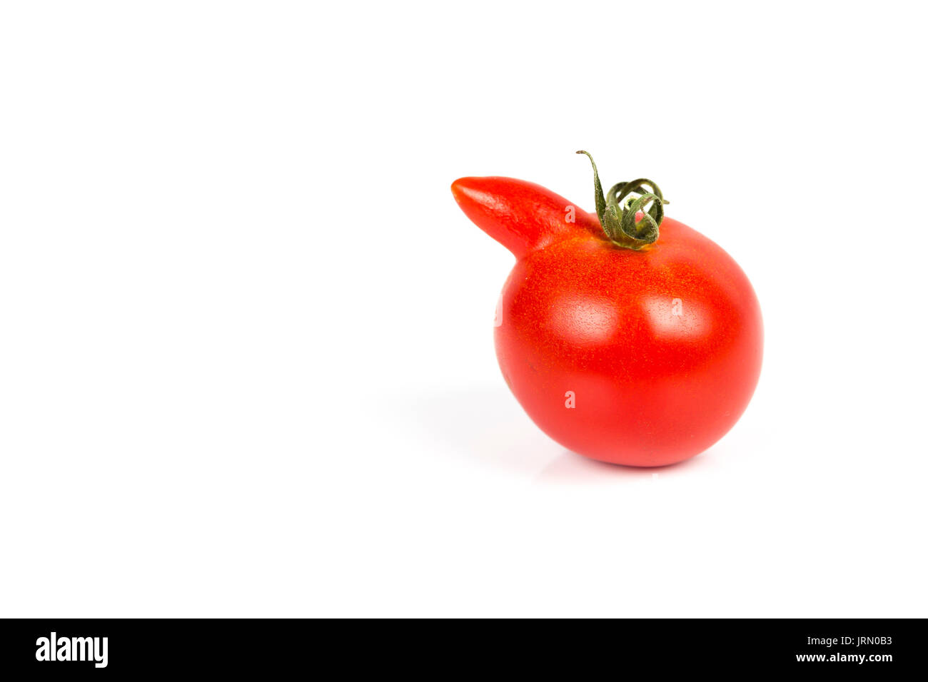 Deformed aberrant abnormal anomalous red tomato on a white background ...