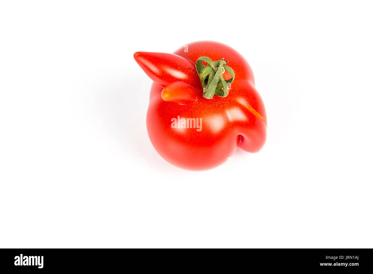 Deformed aberrant abnormal anomalous red tomato on a white background ...