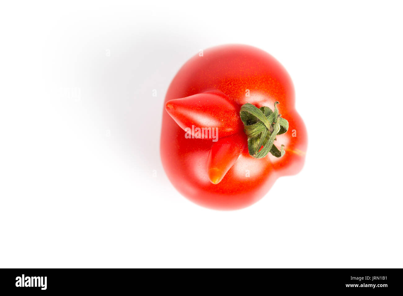 Mutant forms hi-res stock photography and images - Alamy