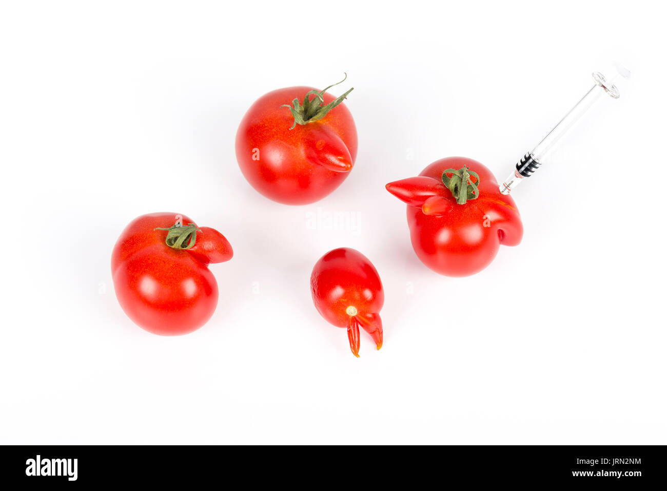 Tomatoes with deformation and defects, with syringe. Chemical treatment ...