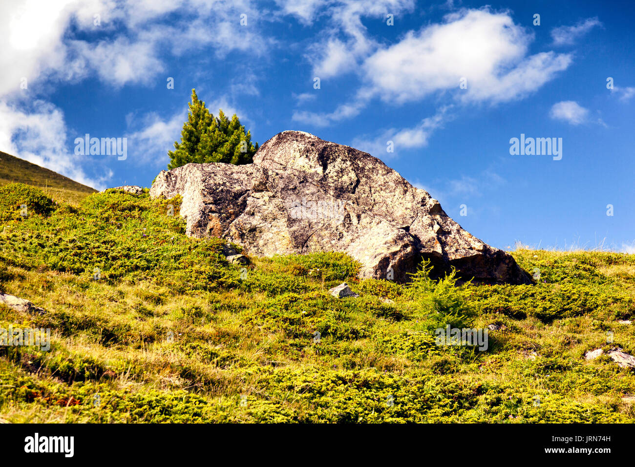 Wild landscape in St Moritz Stock Photo - Alamy