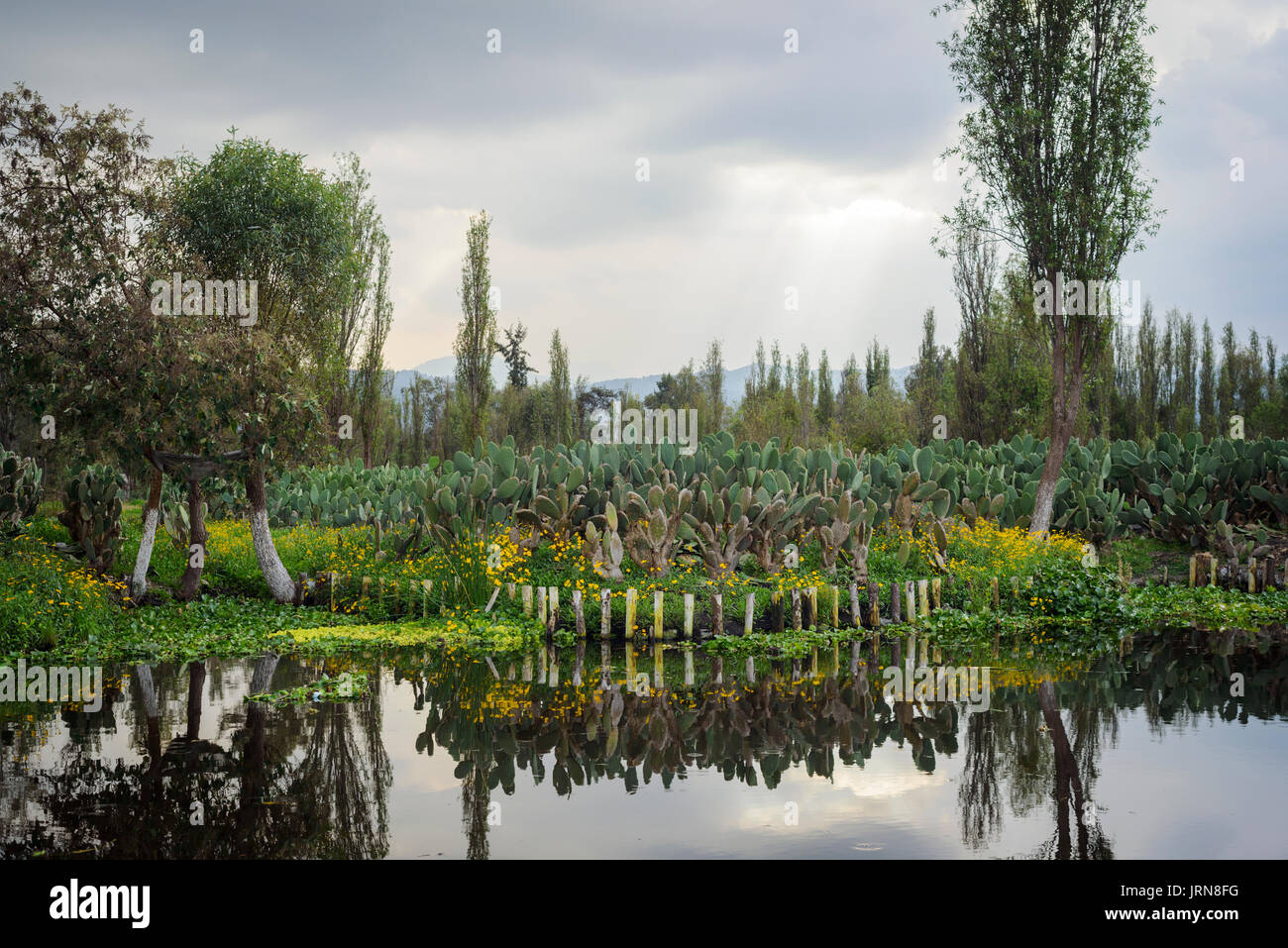Mexico farms hi-res stock photography and images - Alamy
