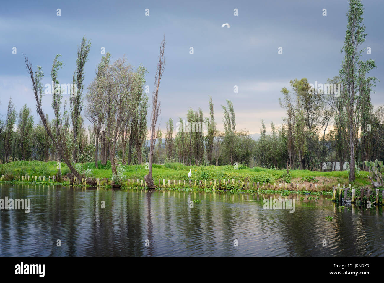 Mexico farms hi-res stock photography and images - Alamy