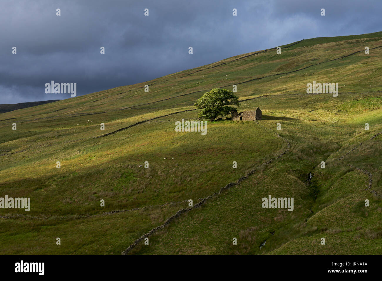 Barn in Dentdale, Yorkshire Dales National Park, North Yorkshire ...