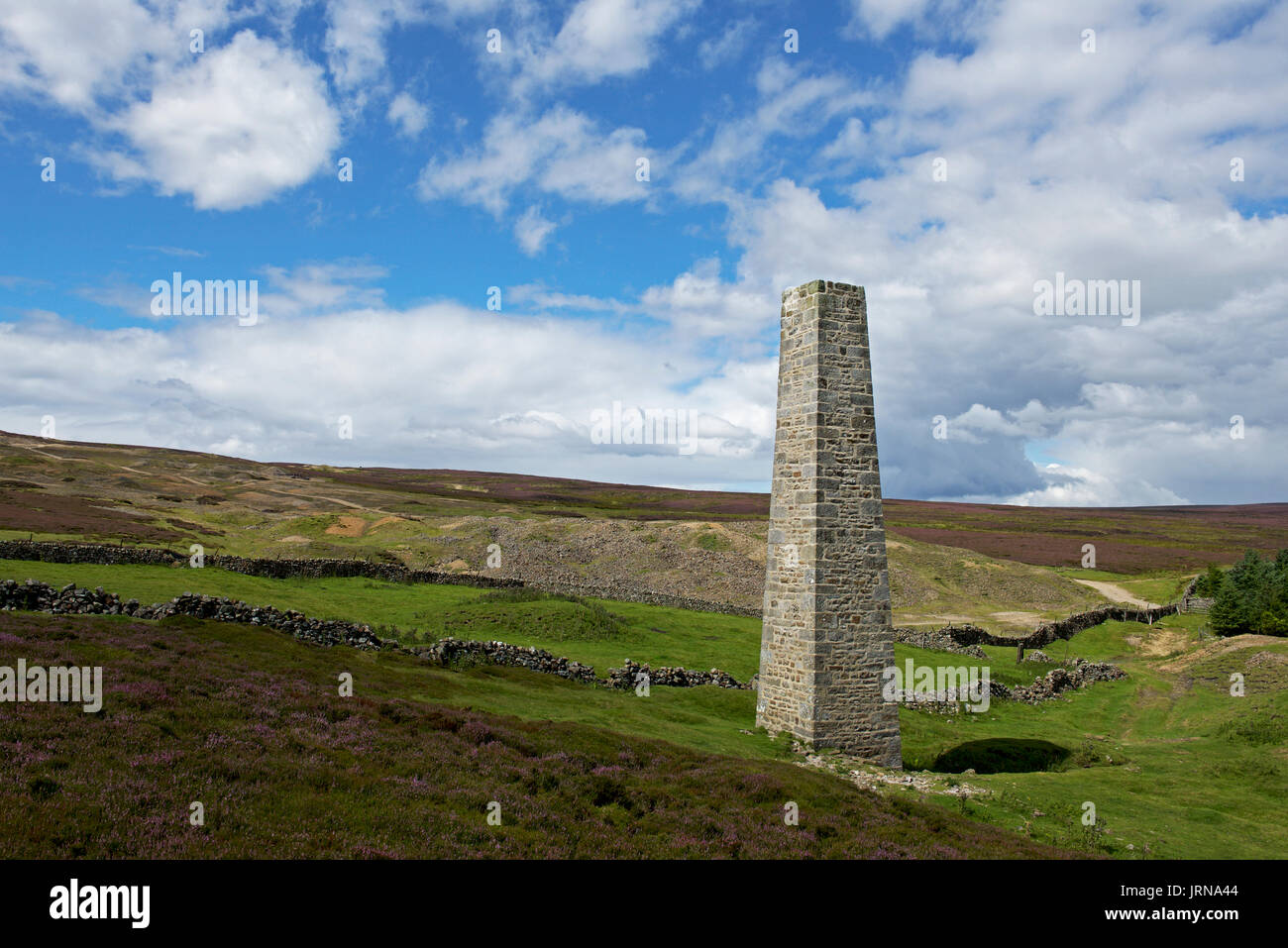Hurst park hi-res stock photography and images - Alamy